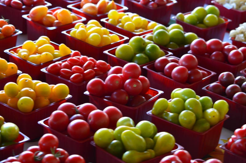 Casseaux de tomates fraîches | Halte Gourmande